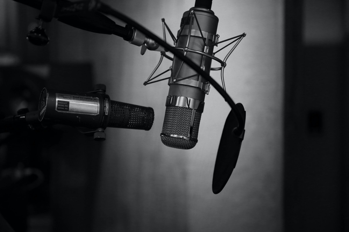 The Ultimate Guide to the Best Podcast Microphones for 2024 – Sticks ...
